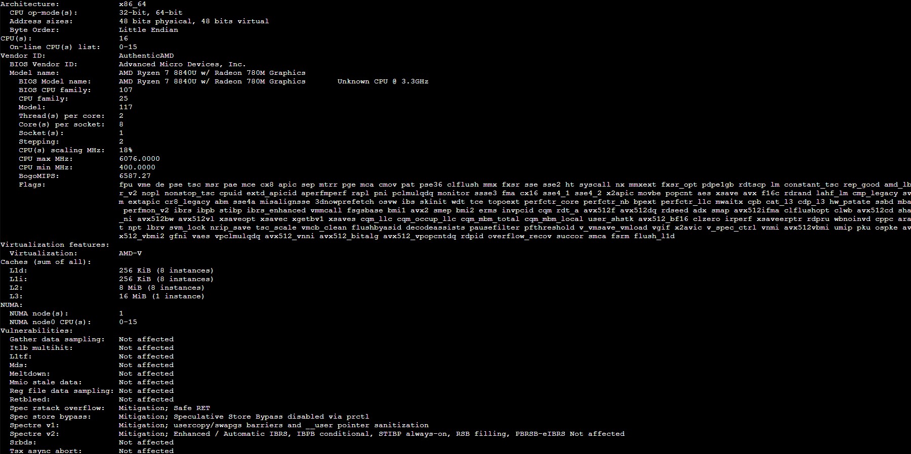 AMD Ryzen 7 8840U Lscpu Output - ServeTheHome