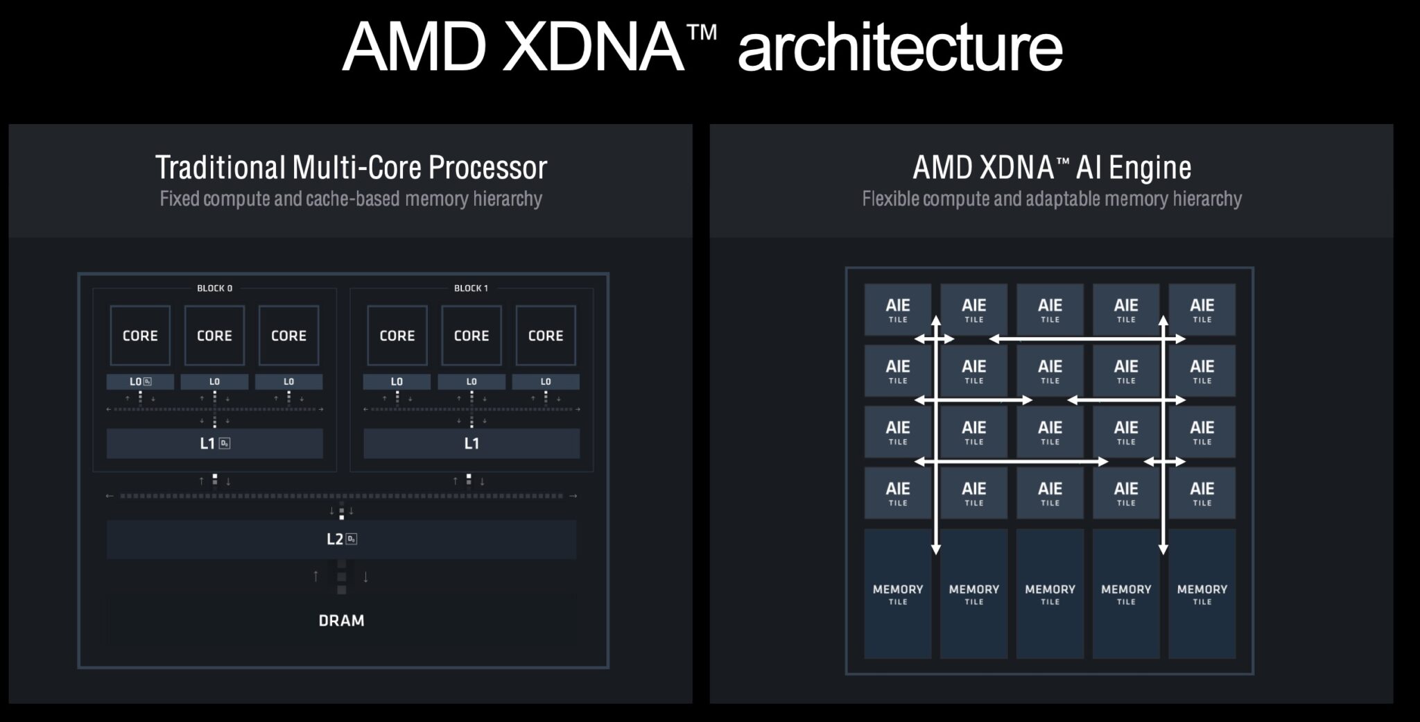 Architecture Trifecta AMD Zen 5 RDNA 3.5 and XDNA 2 - Page 2 of 2 - ServeTheHome